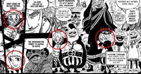 원피스스포 신의 기사단 멤버들 자세히 보니 유머 게시판