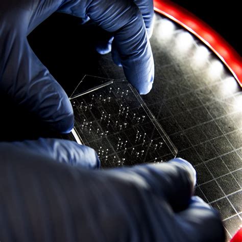 Students Researchers Push Boundaries Of Computational Biochemistry