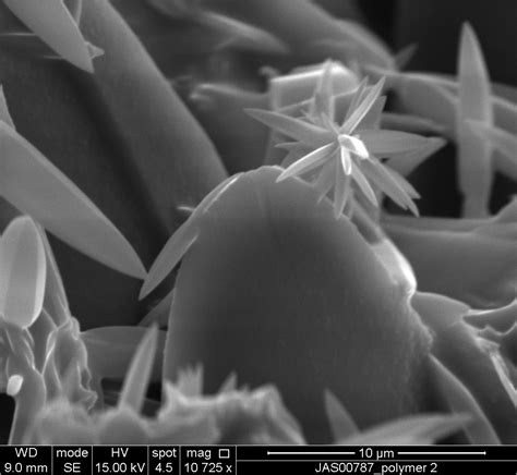 Our Polymers Environmental Selective Extractions