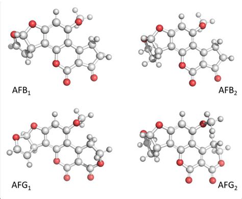 3d Visualization Of The Chemical Structure Of Aflatoxin B 1 Afb 1