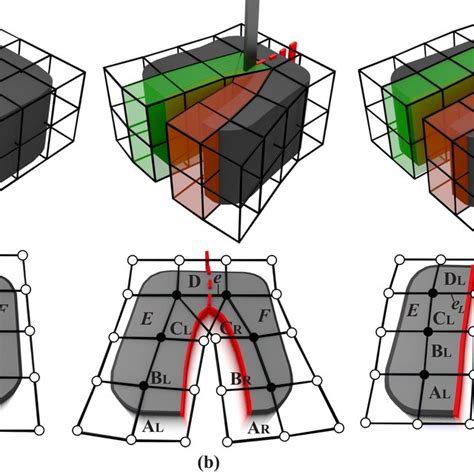 Increasing The Number Of Cut Voxels With The Same Voxel Resolution Download Scientific Diagram