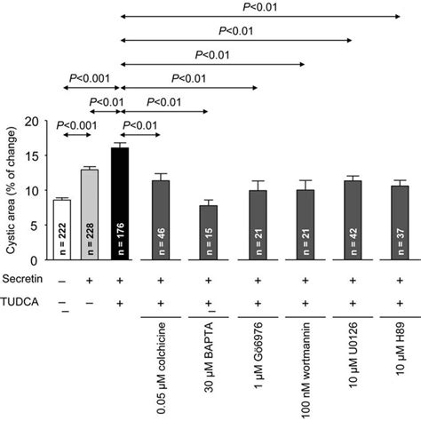 The Expansion Of 3d Cultured Cholangiocyte Cystic Structures Stimulated Download Scientific