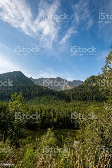흐린 안개 낀 슬로바키아 서 부 카 르 파 티아 Tatra 산 스카이 라인 숲과 나무 0명에 대한 스톡 사진 및 기타 이미지 0명 가을 경관 Istock