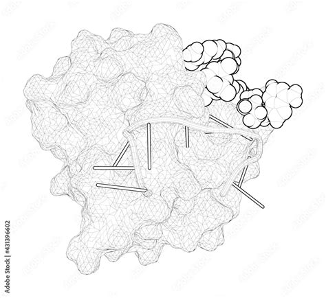 3d Rendering As A Line Drawing Of A Biological Molecule A Small
