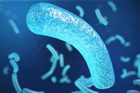 만성 간 질환 바이러스 성 간염 감염 간염 바이러스에 감염 된 유기 체 3 차원 일러스트 레이 션 A형 인플루엔자 바이러스에 대한 스톡 사진 및 기타 이미지 Istock