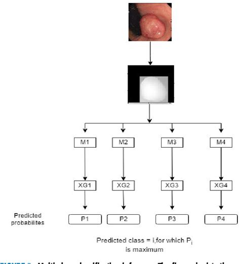 Figure 1 From Xgboosted Binary Cnns For Multi Class Classification Of
