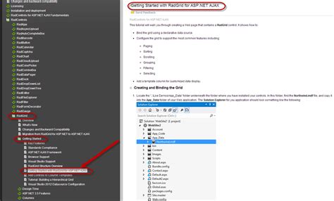 How To Get Started With Teleriks Aspnet Ajax Controls Helping Ninja Technologists