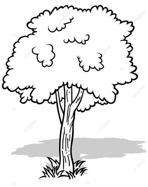 Deciduous Trees Drawing