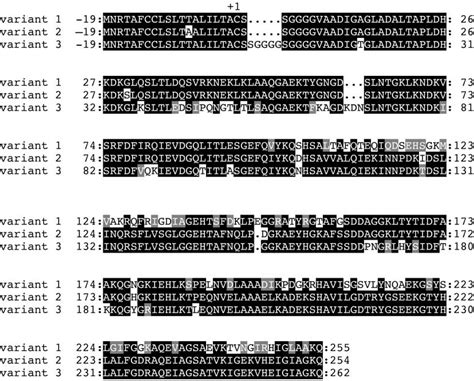 Sequence Alignment Of Variant 1 Strain Mc58 Variant 2 Strain