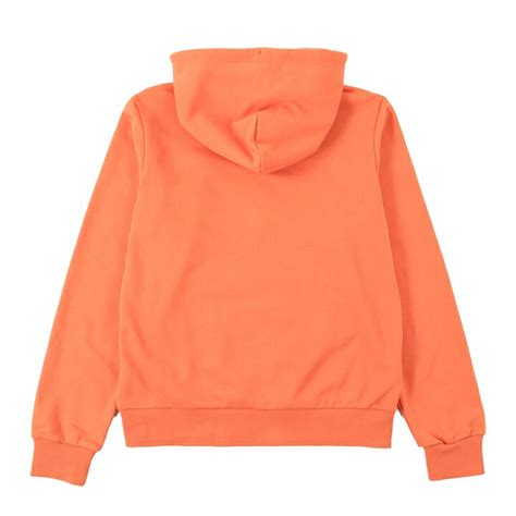 【楽天市場】 Diesel ディーゼル メンズ レディース 男女兼用 グラフィックプリント プルオーバースウェットパーカー【s Ginn