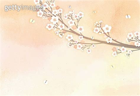 백그라운드 수채화 회화기법 번짐 봄 벚꽃 꽃잎 나비 Jv11113040 일러스트 무료 일러스트 게티이미지뱅크