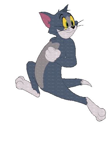 Happy Tom And Jerry Tom And Jerry Happy Cat Running Run Free Animated GIF PicMix