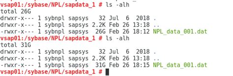 Solved Sql 1105 Ase In Database Npl Because D Sap