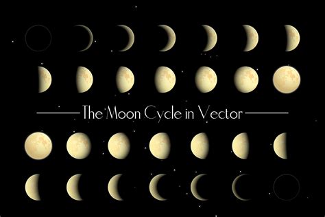 The Moon Cycle In Vector Creative Market
