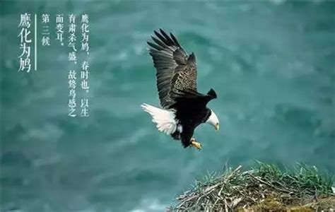 惊蛰三候图片 惊蛰三候 惊蛰古诗图片 大山谷图库