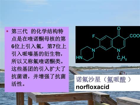 第十七章 合成抗菌药物的分析 Ppt Download