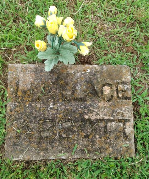 Walter Wallace Abbott 1879 1900 Find A Grave Memorial