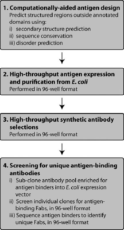 Overview Of The High Throughput Pipeline For The Production Of