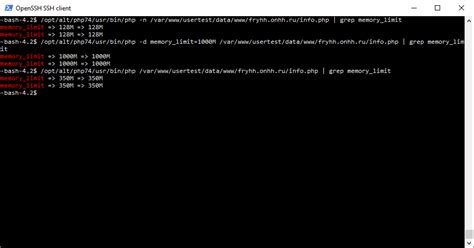 Как запустить Php скрипт из консоли