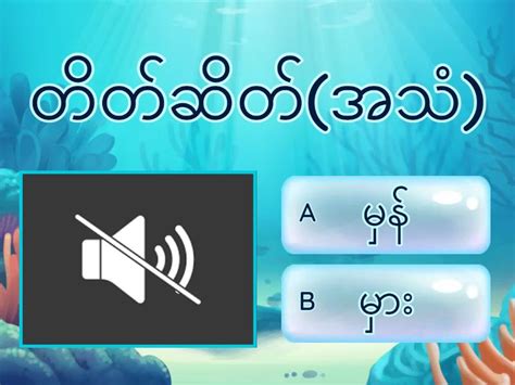 Grade 2 မြန်မာစာ အခန်း ၇ အိတ် အိပ် မှန် မှားရွေးပါ။ Quiz