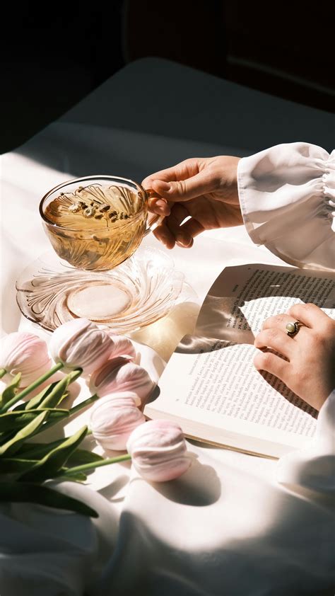 고요한 그림자 꽃꽂이 꽃잎 독서 책 따뜻한 빛 마카롱 반사 봄 부드러운 빛 빈티지 티세트 세라믹 접시