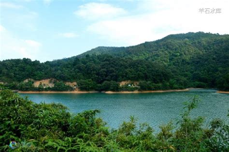 花都高百丈风景名胜区 高百丈风景区 百里杜鹃风景名胜区 大山谷图库