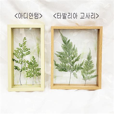 플로라 프리저브드