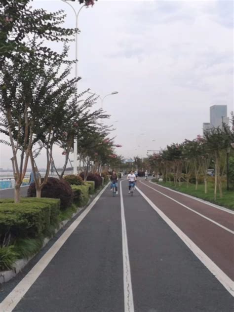 周末，在钱塘江边观潮，骑行，散步！