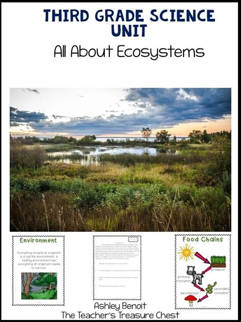 Lesson Ecosystem And Stability