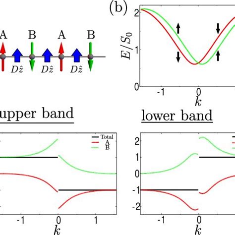 A Schematics Of The Magnon Spin Momentum Locking With The Winding