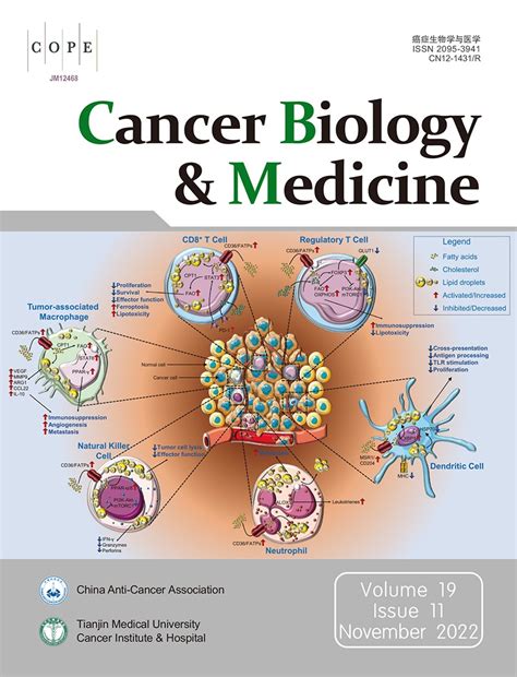 Imaging In Translational Cancer Research Cancer Biology And Medicine
