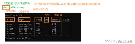 Mysql—数据库的基础建表数据基本建表 Csdn博客