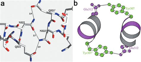 Key Interactions In The Dimerization Selectivity Of Creb A A View