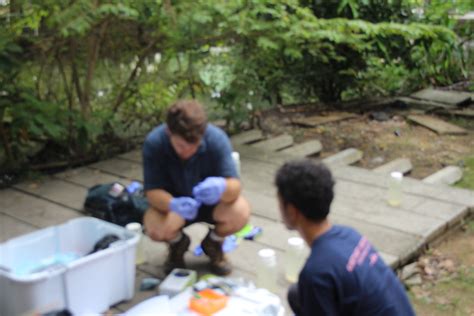 Researchers Test Their Real Time Edna Detection Kits In Thailand News