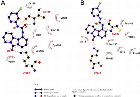 Ligplot Analysis Results 2d Representation Of Protein Ligand Download Scientific Diagram