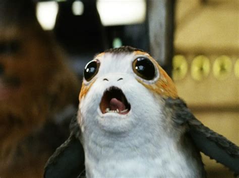 What Is The Bird From Star Wars Called Birdful