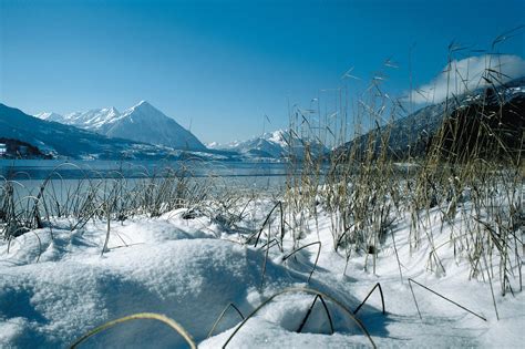 툰 호수 스위스관광청
