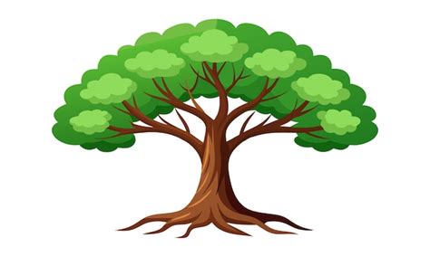 Premium Vector Peepal Tree Isolated Flat Vector Illustration On White