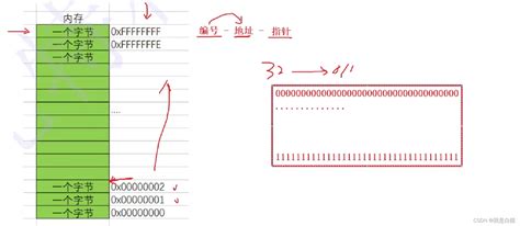 深入理解指针：基本概念、类型与野指针陷阱 Csdn博客