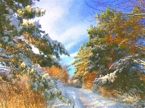 Картина «Мороз и солнце 2022 г