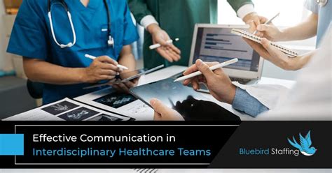 Communication In Interdisciplinary Healthcare Teams Bluebird Staffing