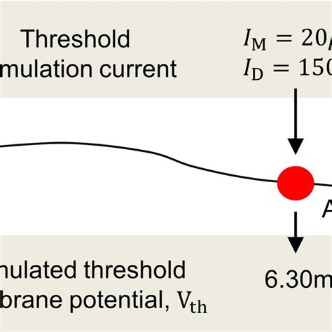 Simulation Of Experiments From Fried Et Al 23 The Current Waveforms Download Scientific