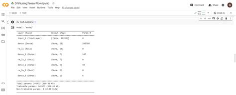 Catvsnoncat Dataset Classification Using Tensorflow Convolutional