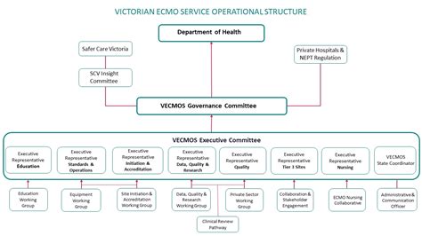 Operational Structure Vecmos