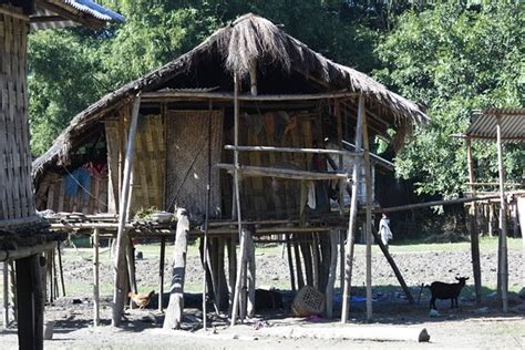 Mishing Village Majuli Tickets And Tours Tripadvisor
