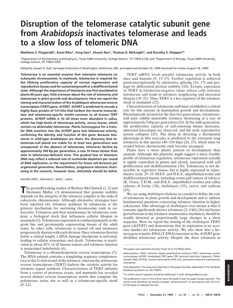 Pdf Disruption Of The Telomerase Catalytic Subunit Gene From Arabidopsis Inactivates