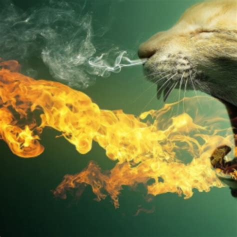 Liyu Liu Chongqing University Chongqing Cqu College Of Aerospace Engineering Research