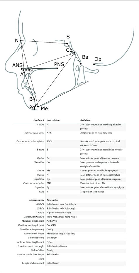 anatomic landmarks cephalometric reference planes linear and