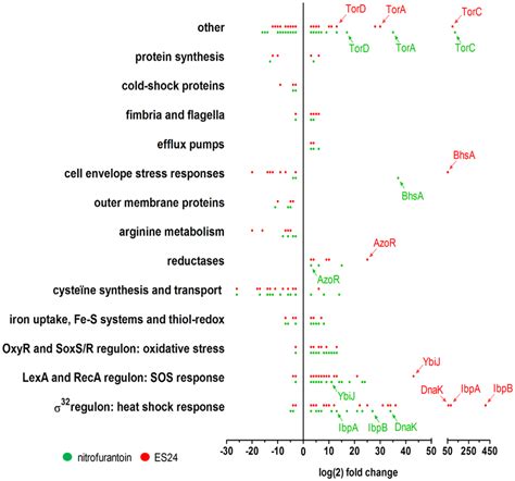 Nft And Es24 Induce A Broad Range Of Stress Responses Transcriptomic Download Scientific