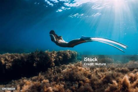 흰색 지느러미를 가진 프리 다이버 소녀는 놀라운 태양 광선과 해초로 수중활을 합니다 푸른 바다에서 자유 다이빙 수중 그리스에 대한 스톡 사진 및 기타 이미지 Istock